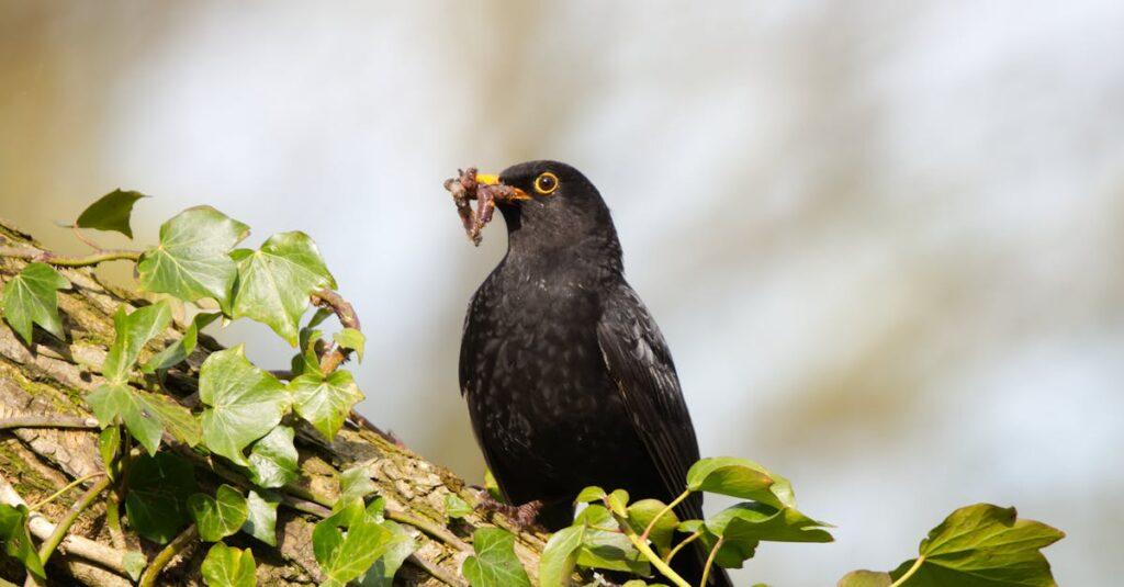 Les vers intestinaux chez les enfants : symptômes, traitements et ...